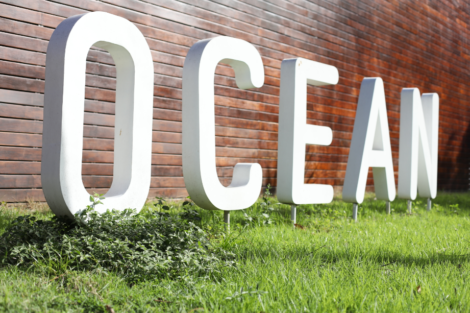 Samsung Ocean anuncia painel sobre o ensino e o mercado de Python no ...