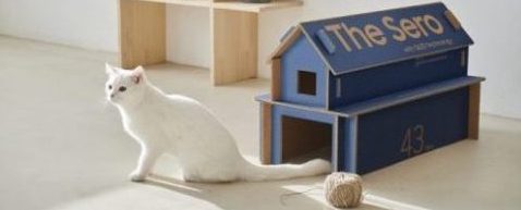 Samsung Eco-Packaging celebra la reutilización de empaques – Samsung ...