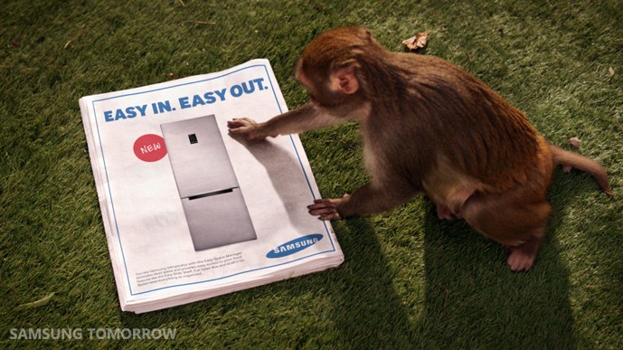 Monkeys Attack a Samsung’s New Bottom Mounted Freezer – Samsung Global ...