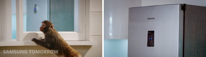 Monkeys Attack a Samsung’s New Bottom Mounted Freezer – Samsung Global ...