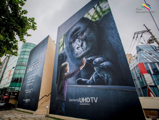UHD ZOO- Bringing Safari to the City – Samsung Global Newsroom