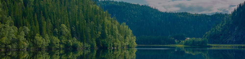 Sustainable Practices: Samsung’s Eco-Conscious Efforts Towards a Better ...