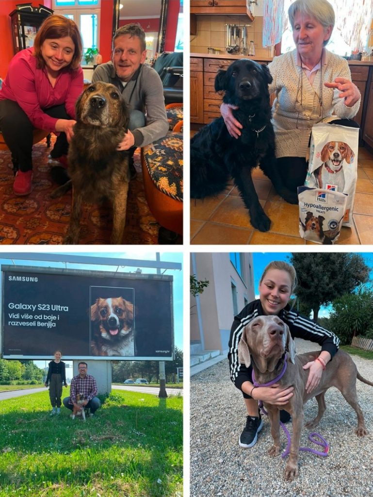 Samsung’s ‘See Beyond Color’ Campaign Helps Shelter Dogs Find Their ...