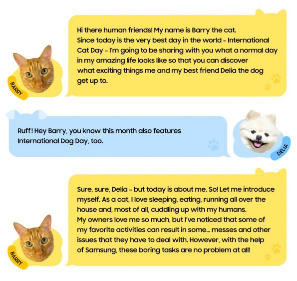 Day in My Life: Barry the Cat and Samsung Home Appliances – Samsung ...