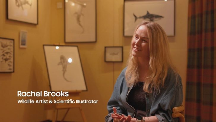 [Voices of Galaxy] Meet the Scientific Illustrator and Marine Wildlife ...