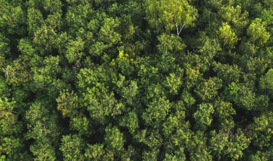 Samsung Electronics Releases 2024 Sustainability Report – Samsung ...