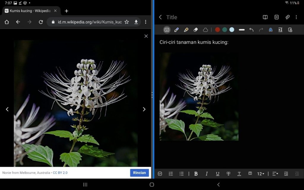 Lima Cara untuk Dorong Anak Suka Belajar – Samsung Newsroom Indonesia