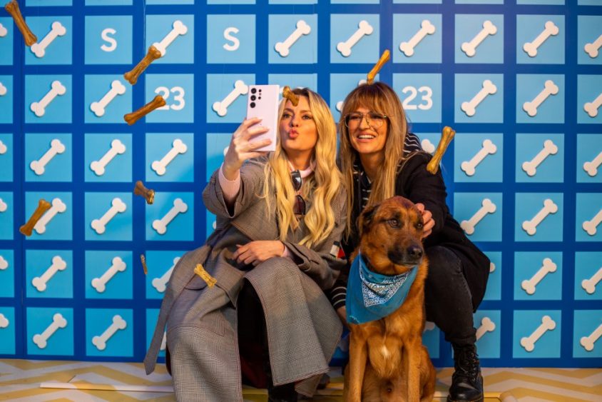 La campaña “See Beyond Color” de Samsung ayuda a los perros de los ...