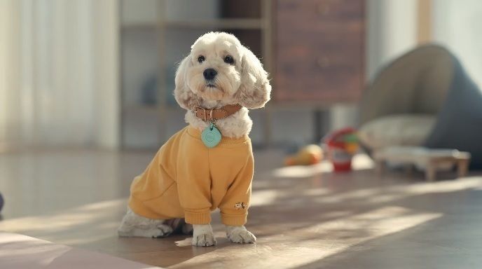 Accesorios y electrodomésticos Samsung que te ayudarán a cuidar a tu ...