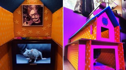 Turn Your TV Packaging Into Something Much Cooler and Greener With # ...