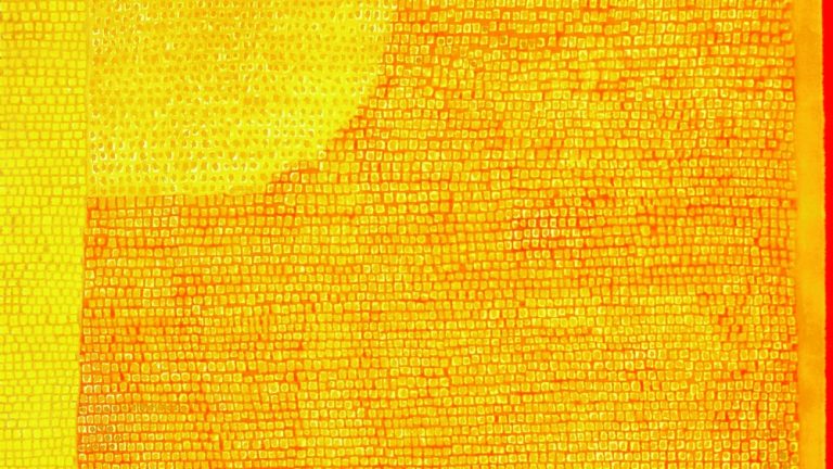 [Interview] Whanki Museum X The Frame Art Store – A Partnership That Brings Us Into the Artistic ...