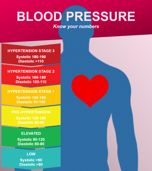 Is Your Heart Happy & Healthy? Find Out With Samsung Health – Samsung ...