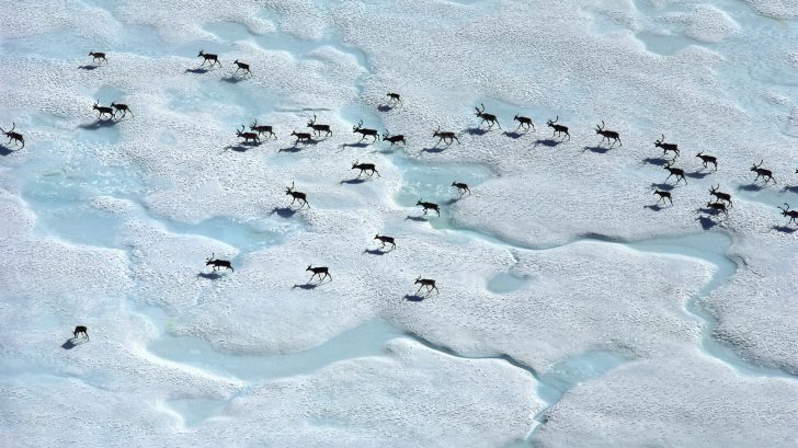 Samsung, National Geographic en Fotolab Kiekie roepen natuurfotografen ...