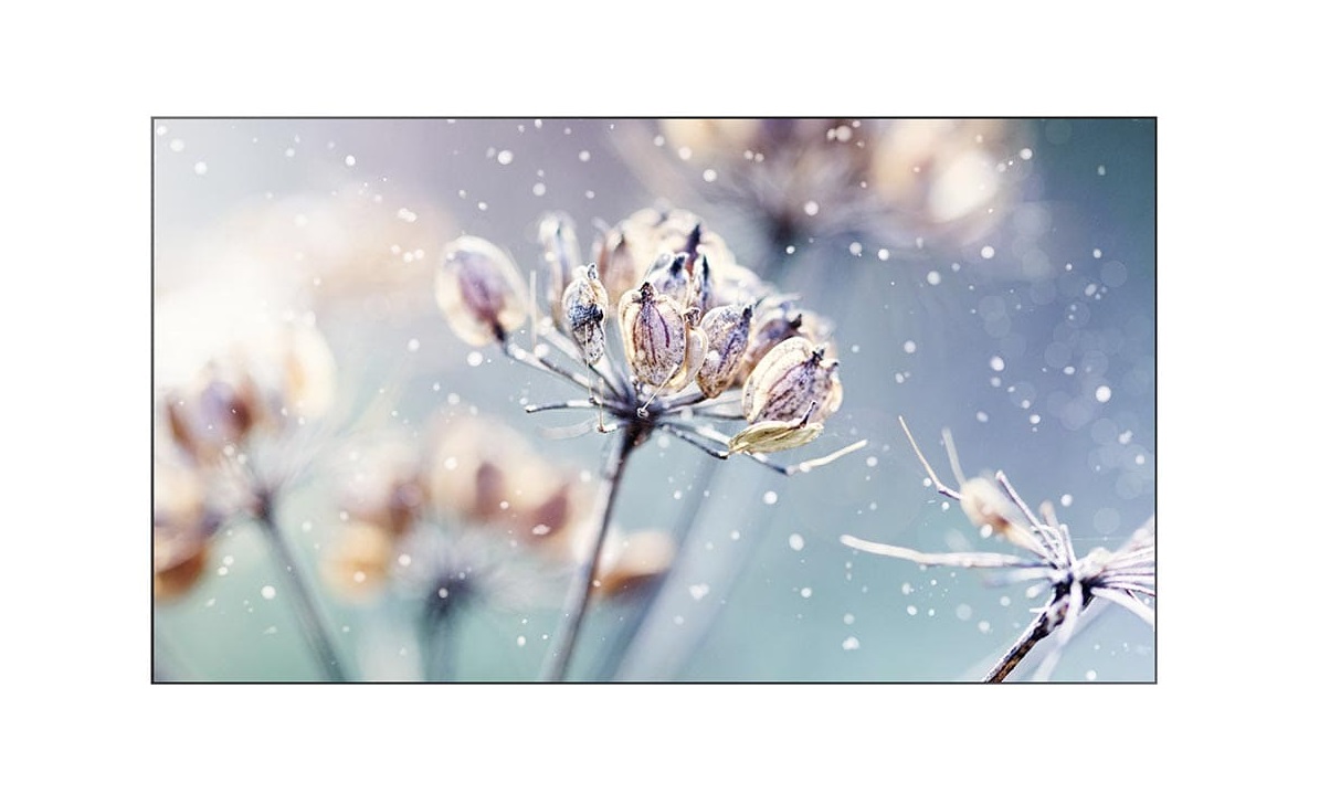 Samsung VMR-U – Video wall z wbudowanym SoC – Samsung Newsroom Polska