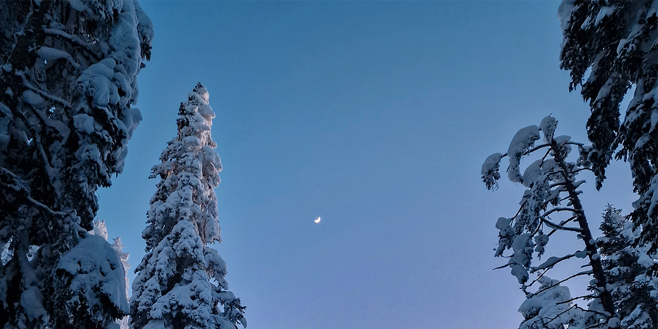 En canlı gece fotoğrafları için 7 ipucu! – Samsung Newsroom Türkiye