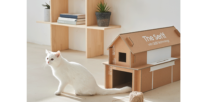 [Interview] The Story of Eco-Packaging – How Upcycling is Transforming ...