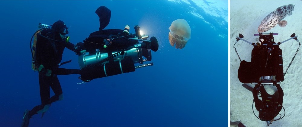 [Interview] A Deep Dive Into 8K: Underwater Cinematographer Pawel ...