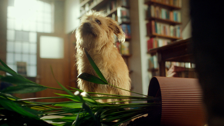 Domest-‘icks’: Not Turning Lights Off, Leaving Things All Over The ...