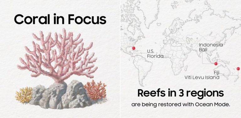 [Earth Day] Coral in Focus: Samsung Marks One Year of Marine Ecosystem ...